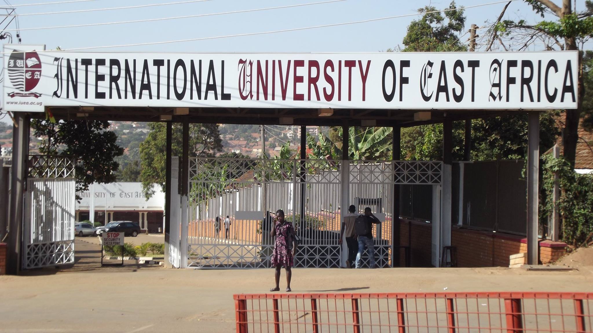 MPs Accuse IUEA of Cutting Down Trees To Make Charcoal - Campus Bee