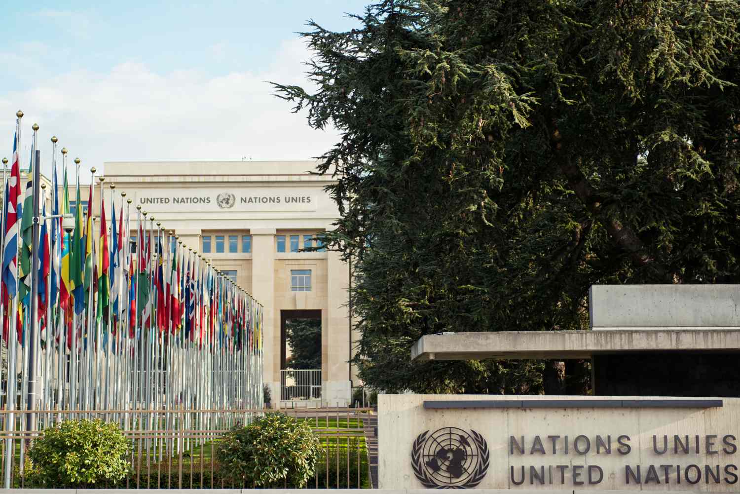 How to Apply for UN Jobs Without a Degree (2025 Guide) - Campus Bee